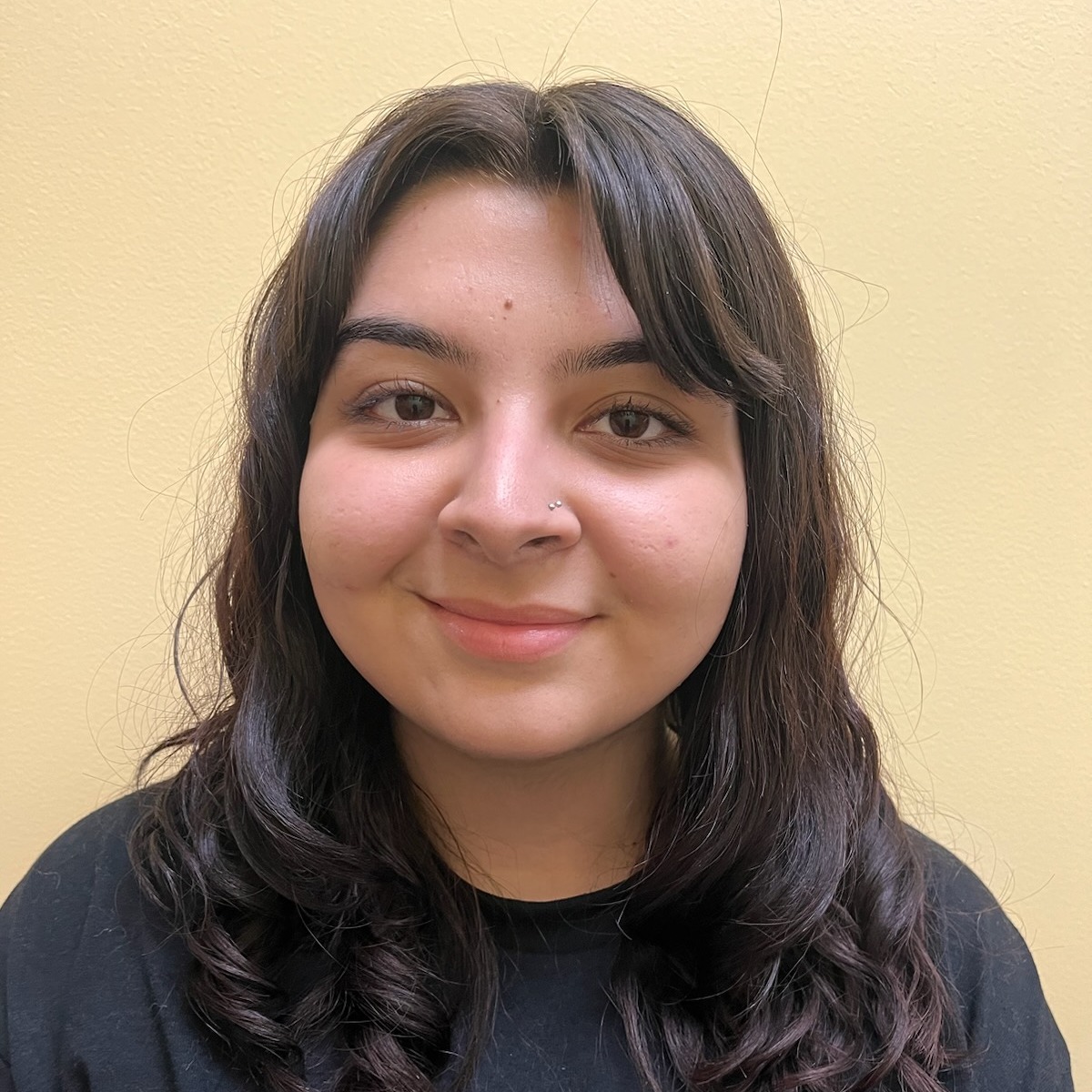 Teachers - Goddard School of Atlanta (Midtown)